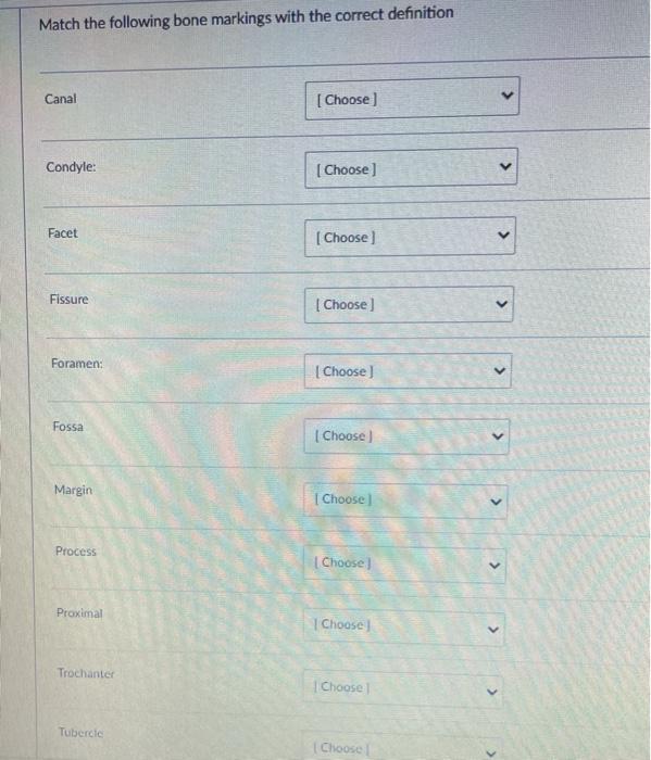 Solved Match the following bone markings with the correct | Chegg.com