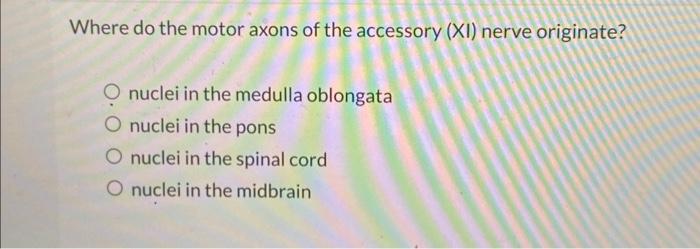 Solved Where do the motor axons of the accessory (XI) nerve | Chegg.com