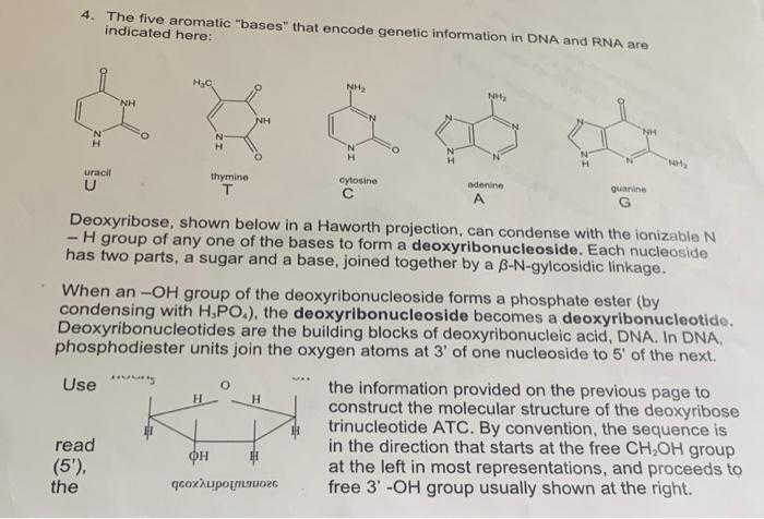 Solved 4. The five aromatic "bases" that encode genetic | Chegg.com