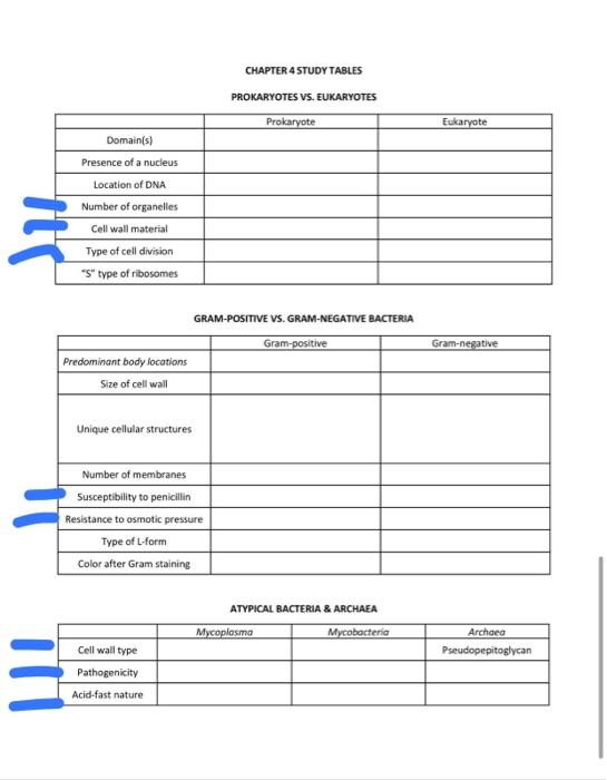 Solved Chapter 4 Study Tables Prokaryotes Vs Eukaryotes Chegg
