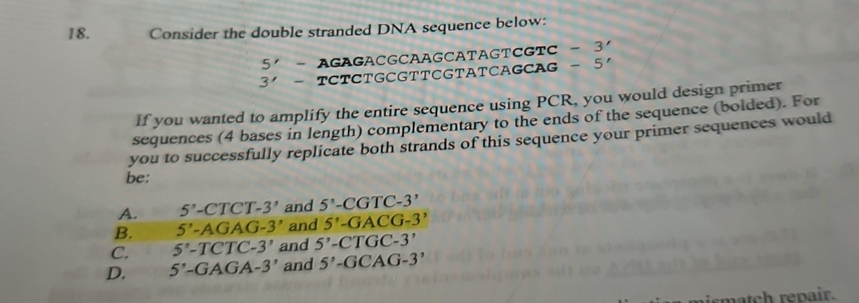 Solved Consider the double stranded DNA sequence below:5' - | Chegg.com