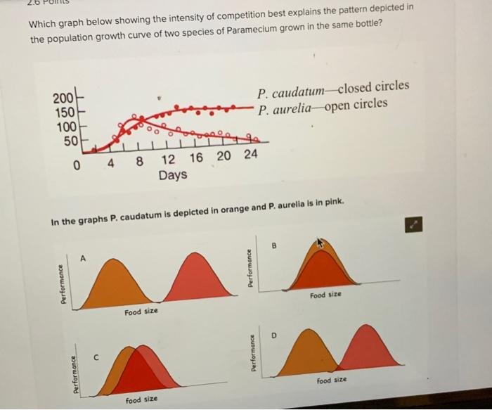 Solved Which graph below showing the intensity of | Chegg.com