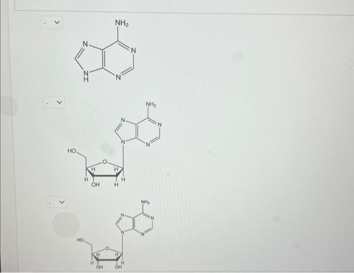Solved For a simple one-substrate enzyme-catalyzed reaction | Chegg.com