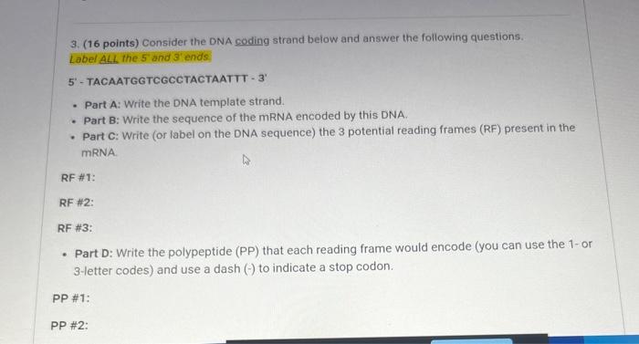 Solved 3. (16 points) Consider the DNA coding strand below | Chegg.com