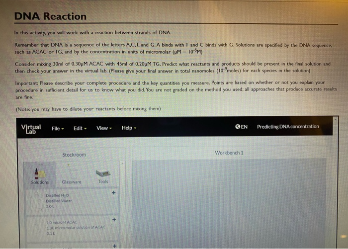 Solved DNA Reaction In this activity, you will work with a | Chegg.com
