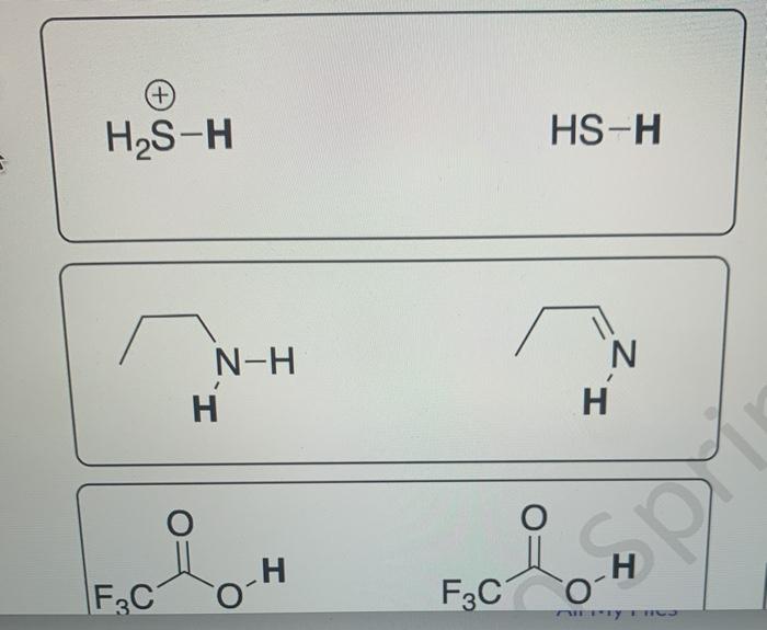 Solved (+) HS-H HS-H N N-H H H H F₃C/ -H F3C | Chegg.com
