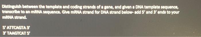 Solved Distinguish between the template and coding strands | Chegg.com