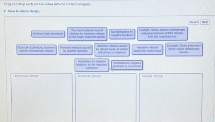 Solved Drag and drop each phrase below into the correct | Chegg.com