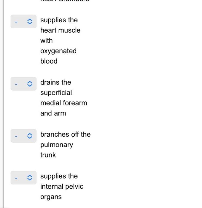 Solved Match the description to the correct vessel names in | Chegg.com