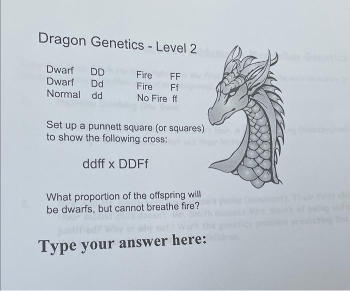 Solved Dragon Genetics - Level 2 Set up a punnett square (or | Chegg.com