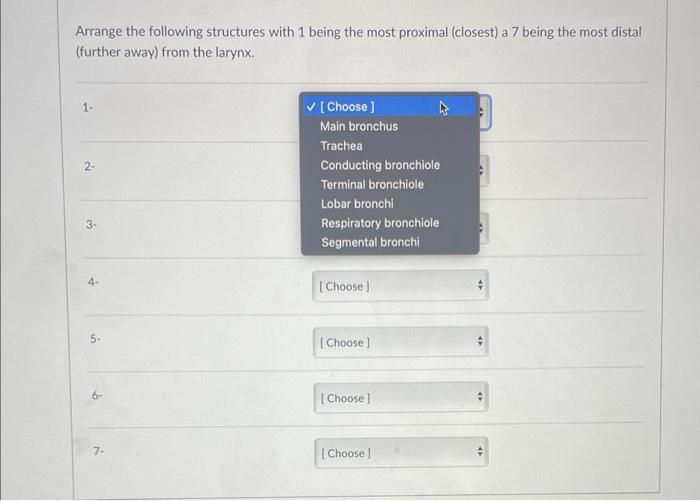 Solved Arrange the following structures with 1 being the | Chegg.com