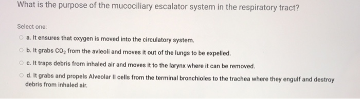 Solved What is the purpose of the mucociliary escalator | Chegg.com