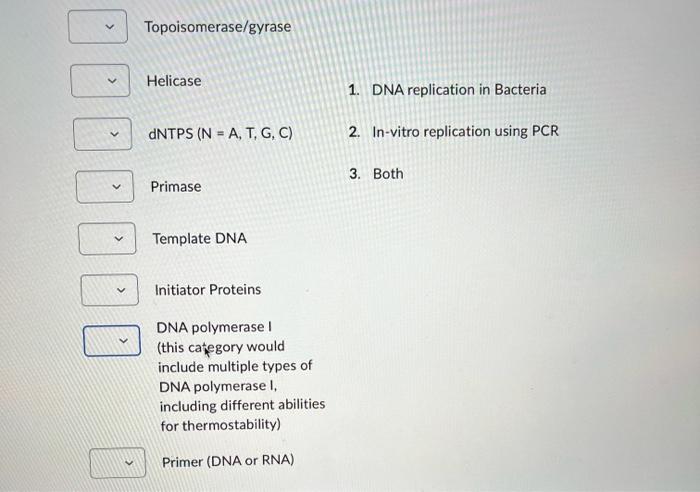 Solved Please match the component/enzyme to whether it is | Chegg.com