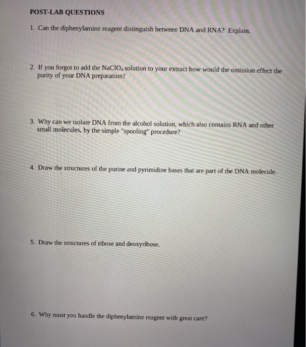 1. Describe the appearance of the crude DNA | Chegg.com