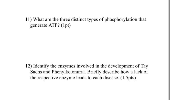 Solved 11) What are the three distinct types of | Chegg.com