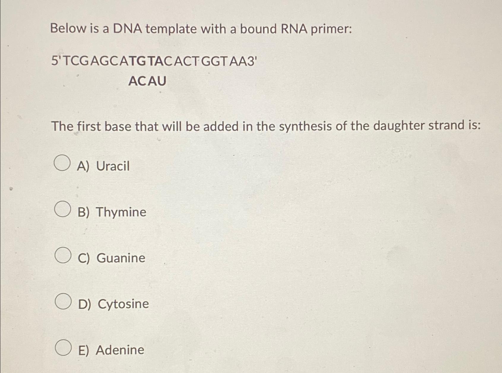 Solved Below is a DNA template with a bound RNA primer:5' | Chegg.com