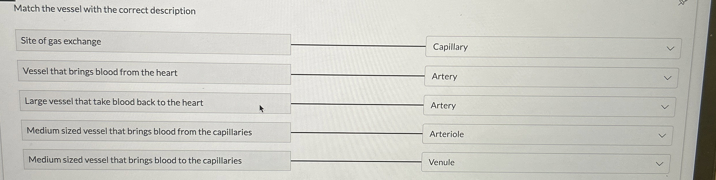 Solved Match the vessel with the correct descriptionSite of | Chegg.com
