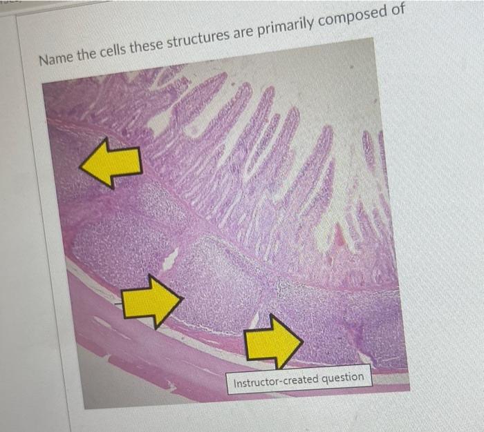 Solved are primarily composed of | Chegg.com