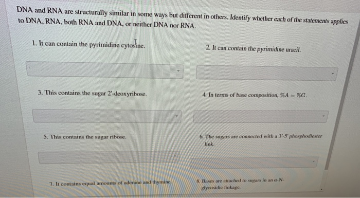 Solved DNA and RNA are structurally similar in some ways but | Chegg.com