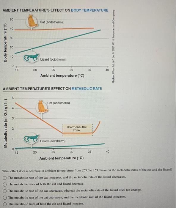 Solved 1) What effect does a decrease in ambient temperature | Chegg.com