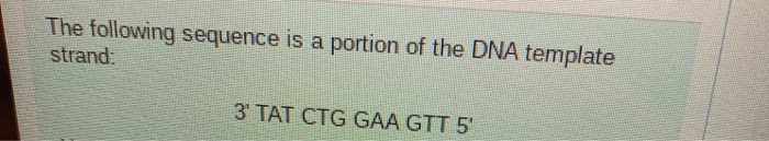 Solved The following sequence is a portion of the DNA | Chegg.com