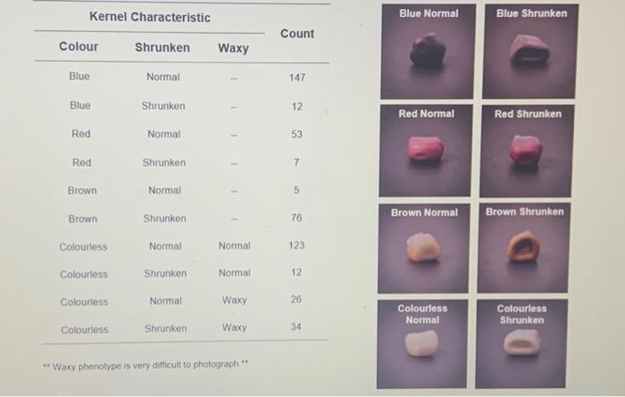 Solved Working only within the coloured class of kernels, | Chegg.com