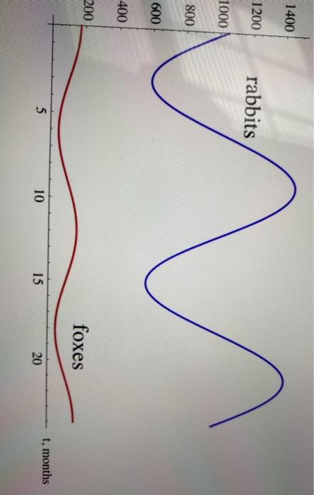Solved Open and run the foxes-and-rabbits-graph project. | Chegg.com