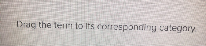 Solved phalanges corpora Singular Form Plural Form phalanx | Chegg.com