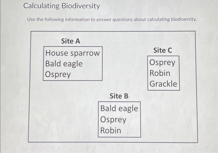 Solved Calculating Biodiversity Use the following | Chegg.com