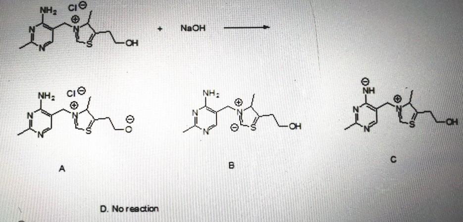 Solved NH, Cie นา NaOH OH NH; CIO NH: NH OH C A B D. No | Chegg.com