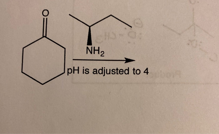 Solved NH2 pH is adjusted to 4 | Chegg.com