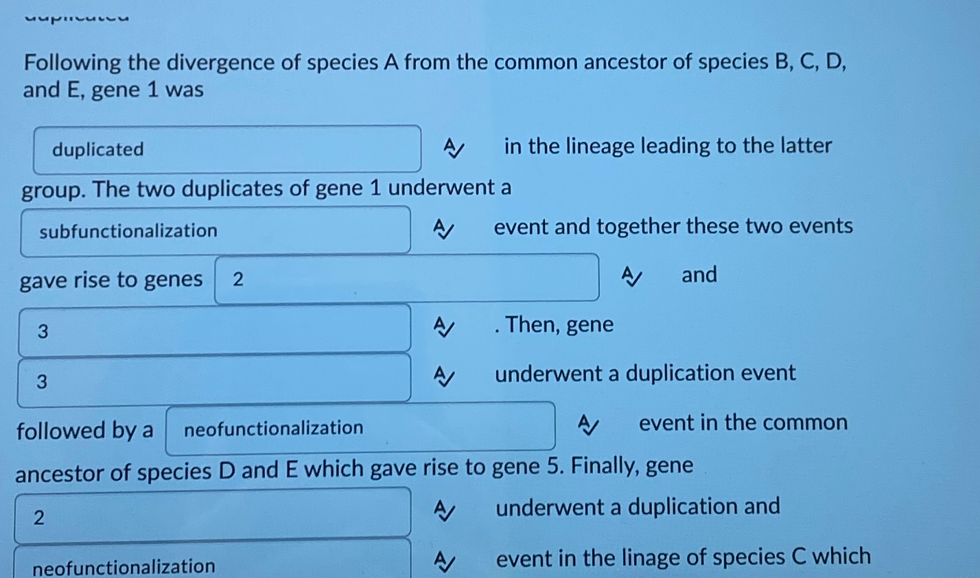 Solved Following the divergence of species A from the common | Chegg.com