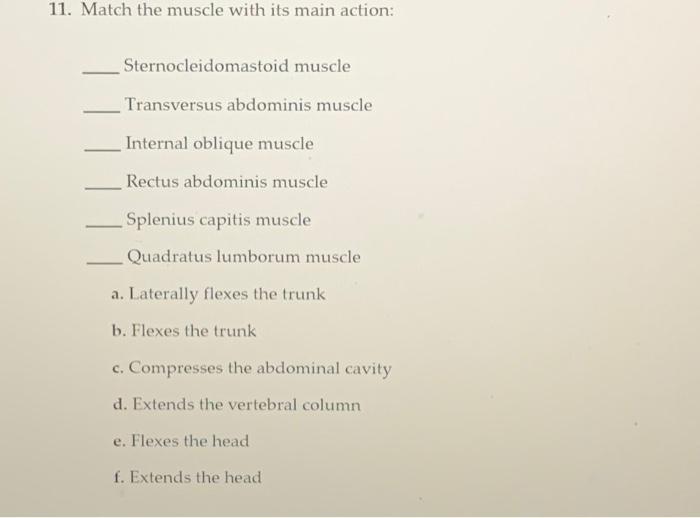 Solved 4. Match the muscle with its main action: | Chegg.com