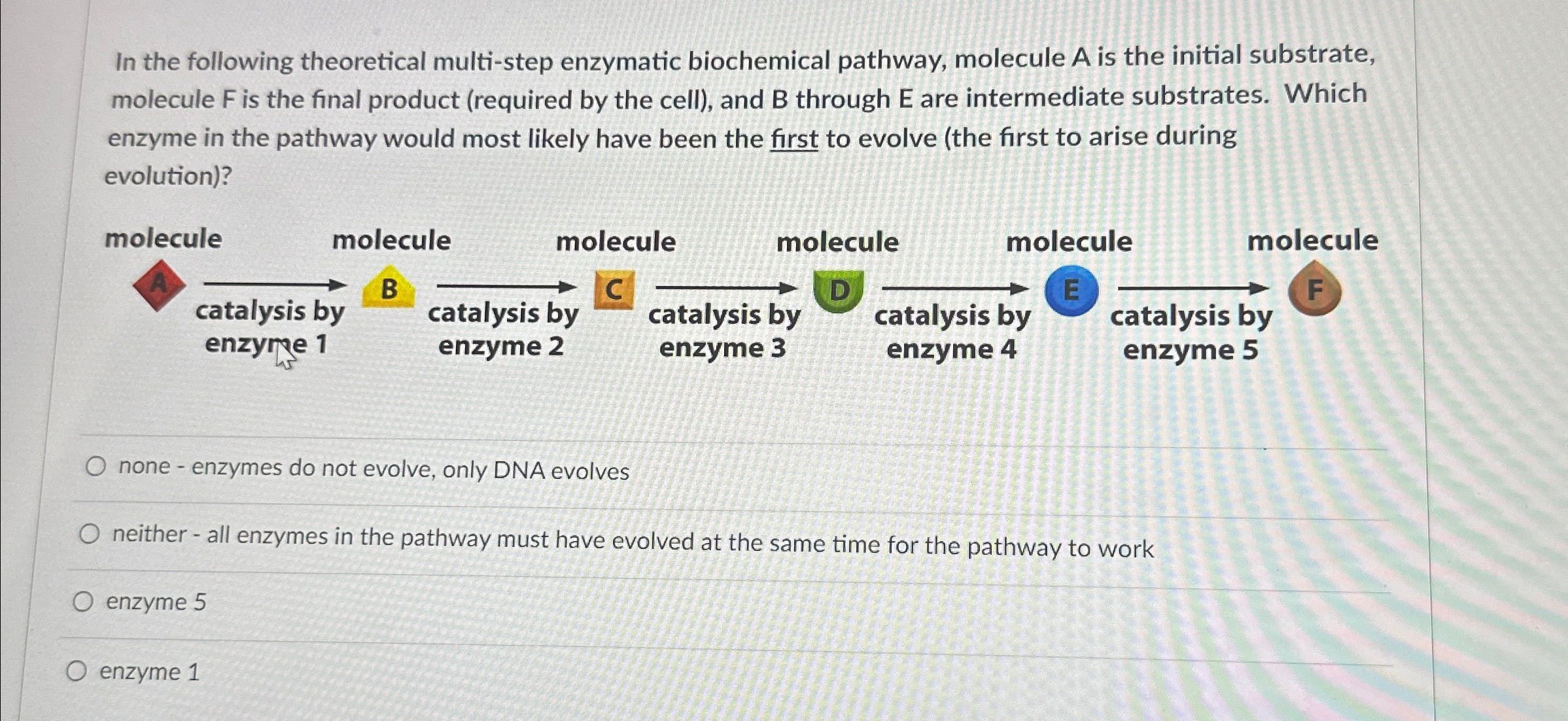 Solved In the following theoretical multi-step enzymatic | Chegg.com