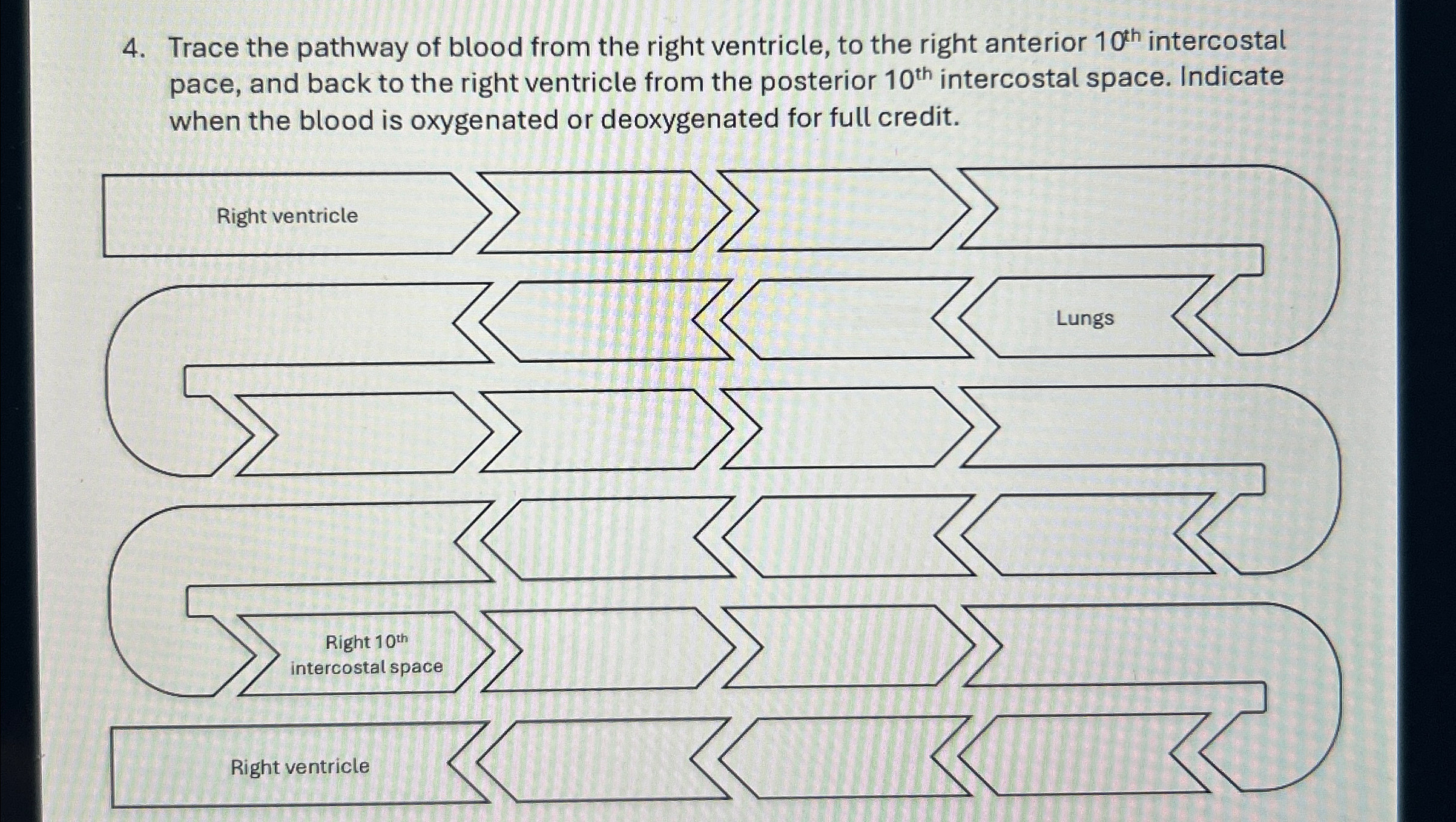 Solved Please full uo all parts of the flow chart, it is | Chegg.com