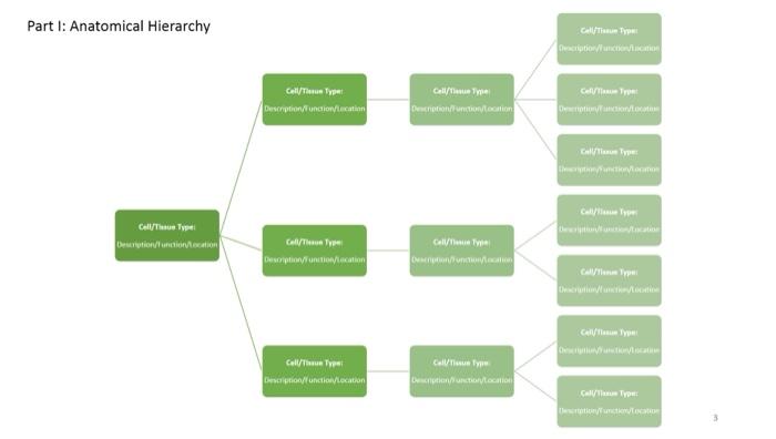 Solved Complete the flow chart diagramming hierchy and | Chegg.com