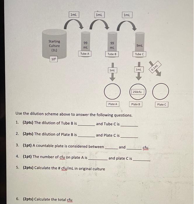 Solved 1ml 1mL 1mL Starting Culture (1L) 99 ml 99 ml 9ml | Chegg.com