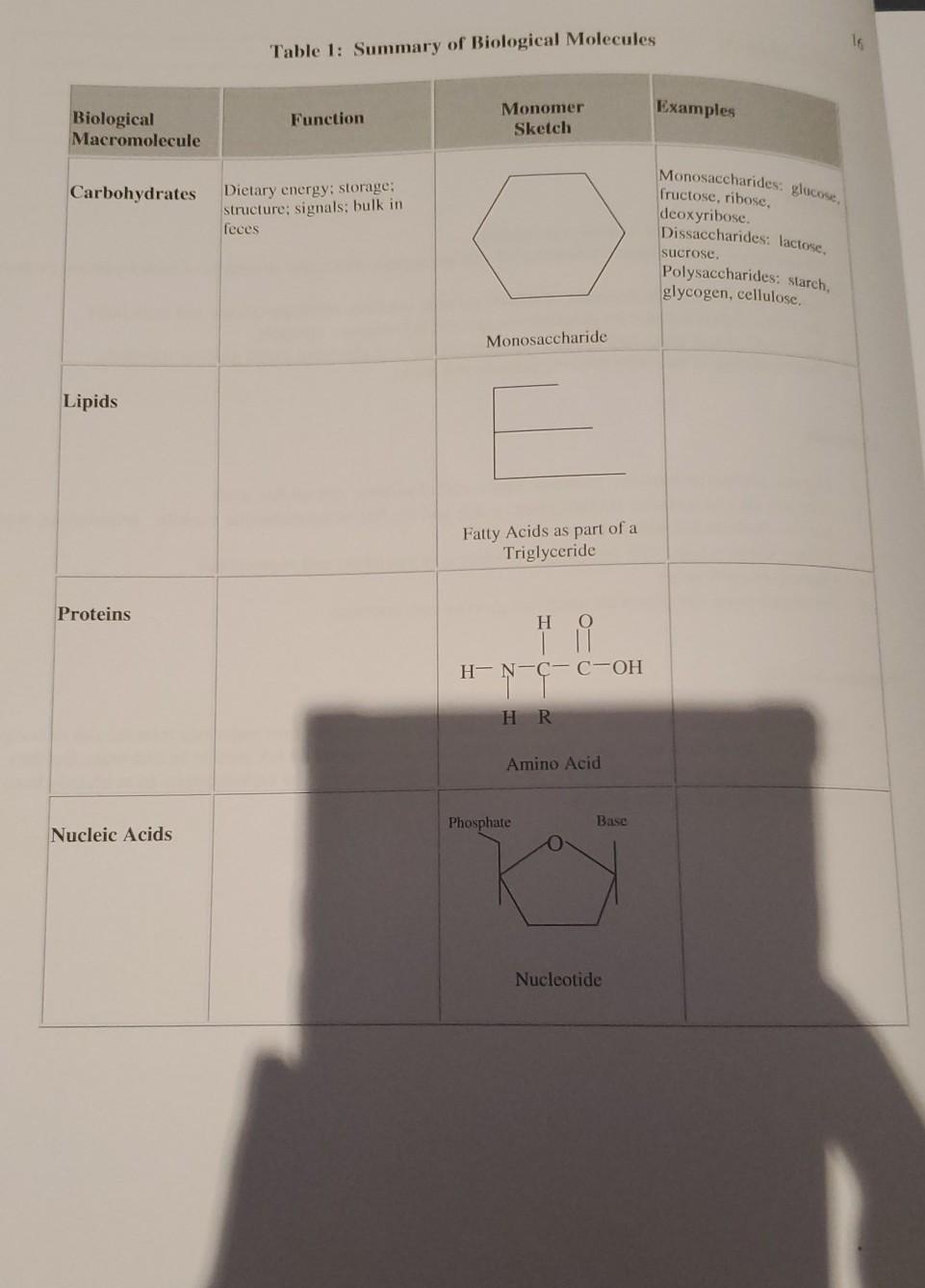 Solved Table 1: Summary of Biological Molecules Examples | Chegg.com