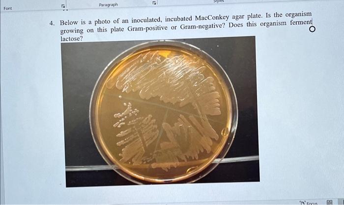 Solved Below is a photo of an inoculated, incubated | Chegg.com