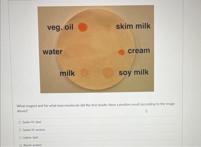 Solved The solution in the test tube below was tested with | Chegg.com