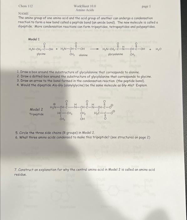 Solved Chem 112 WorkSheet 10.0 page 1 Amino Acids NAME The | Chegg.com