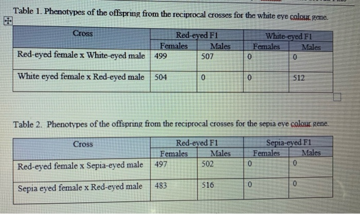 Solved Table 1. Phenotypes of the offspring from the | Chegg.com