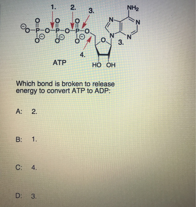 Solved The reduction of acetaldehyde is best described by | Chegg.com
