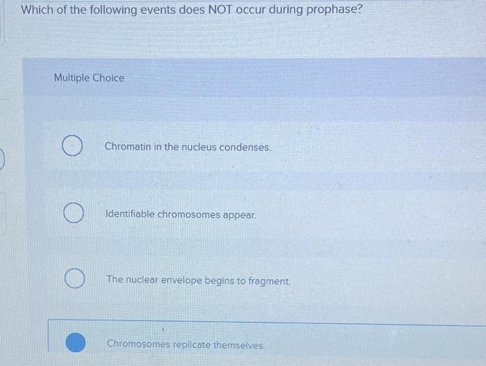 Solved Which of the following events does NOT occur during | Chegg.com