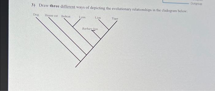 Solved 3) Draw three different ways of depicting the | Chegg.com