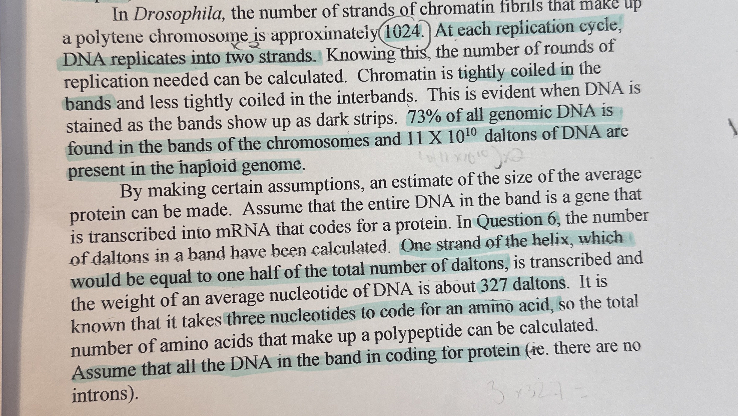 Solved In Drosophila, the number of strands of chromatin | Chegg.com