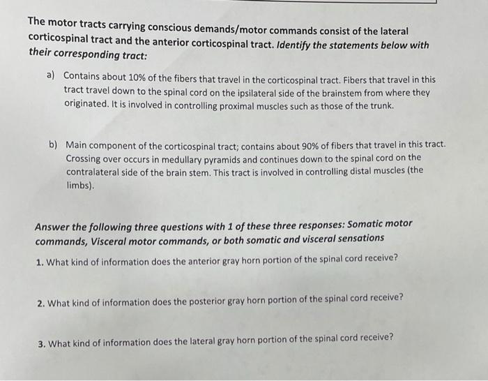 Solved The motor tracts carrying conscious demands/motor | Chegg.com