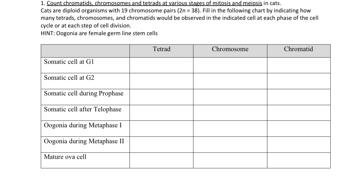 Solved Count chromatids, chromosomes and tetrads at various | Chegg.com