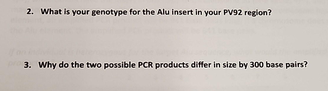 Solved What is your genotype for the Alu insert in your PV92 | Chegg.com