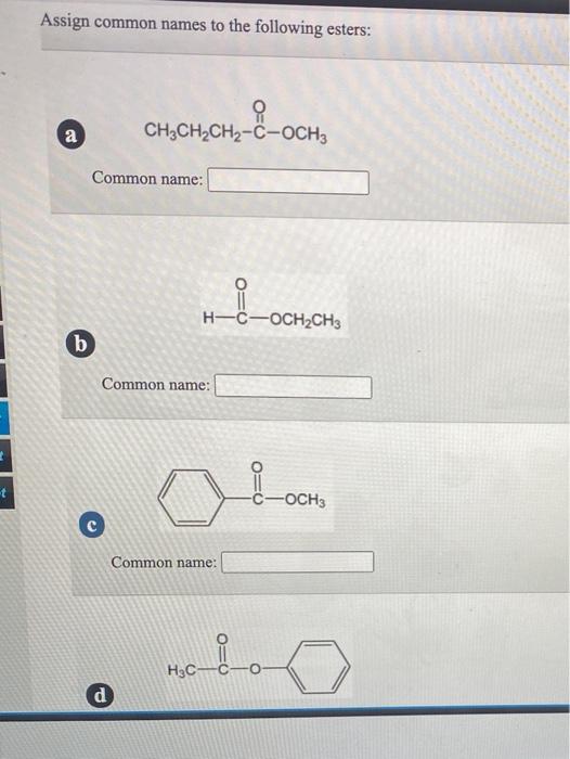 Solved Assign common names to the following esters: | Chegg.com